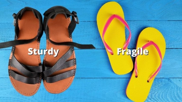 Flip Flops vs. Sandals [The Difference and Why it Matters]